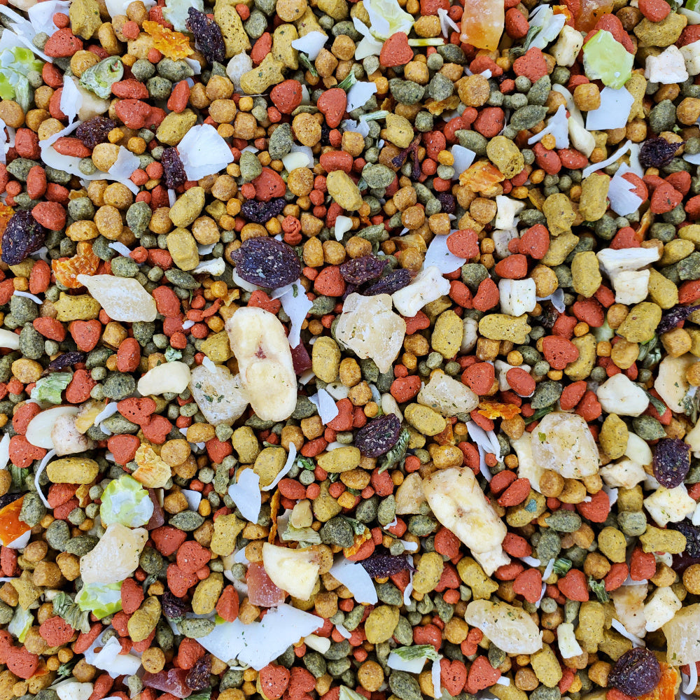 Higgins inTune Harmony Conure & Cockatiel Food – Pongo Pet